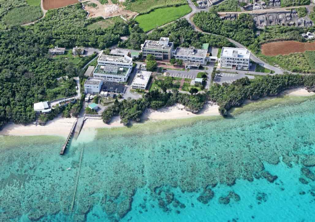 22. Sesoko Station, Tropical Biosphere Research Center, University of ...