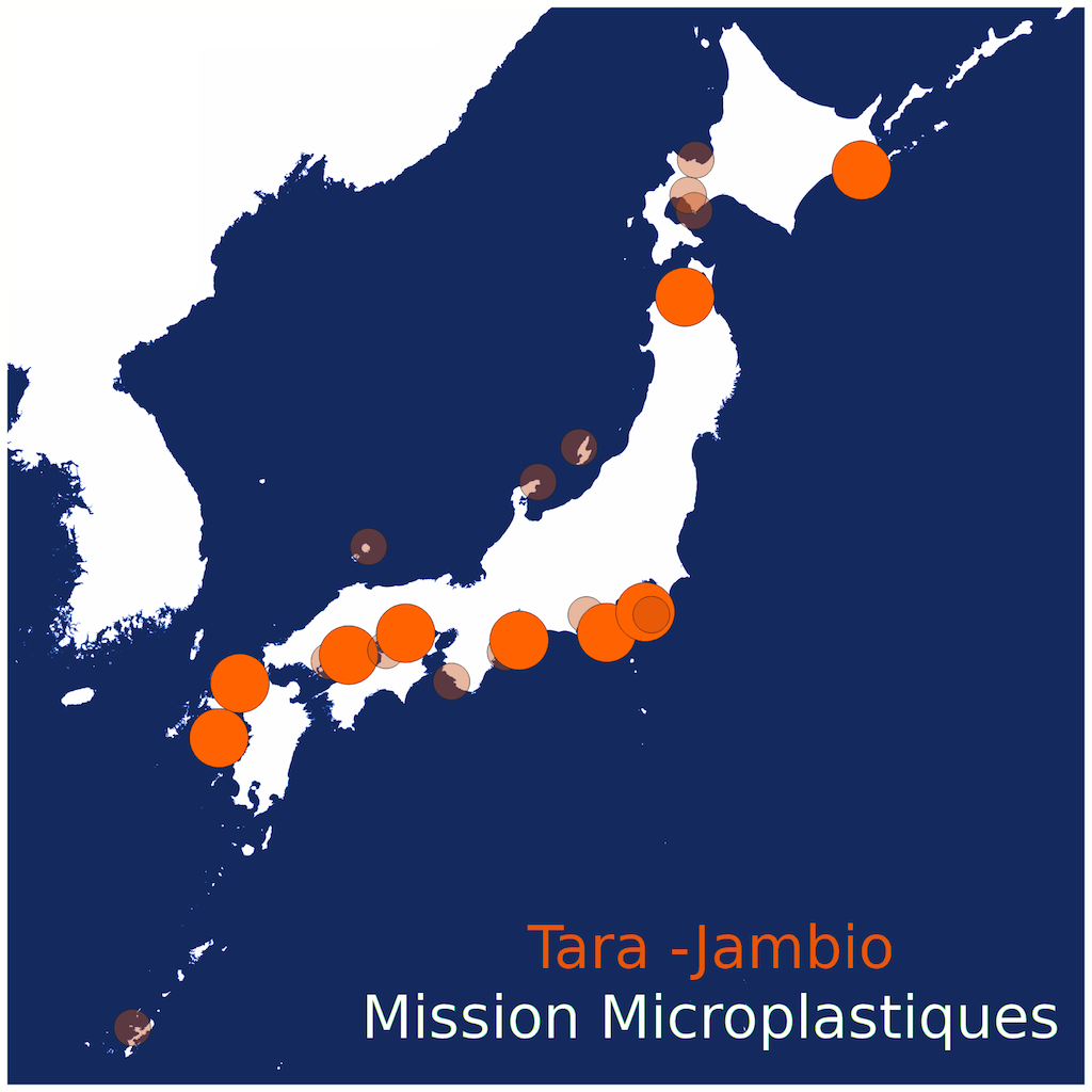 日本初のマイクロプラスチック共同研究プロジェクトを始めます。 | JAMBIO -日本語-